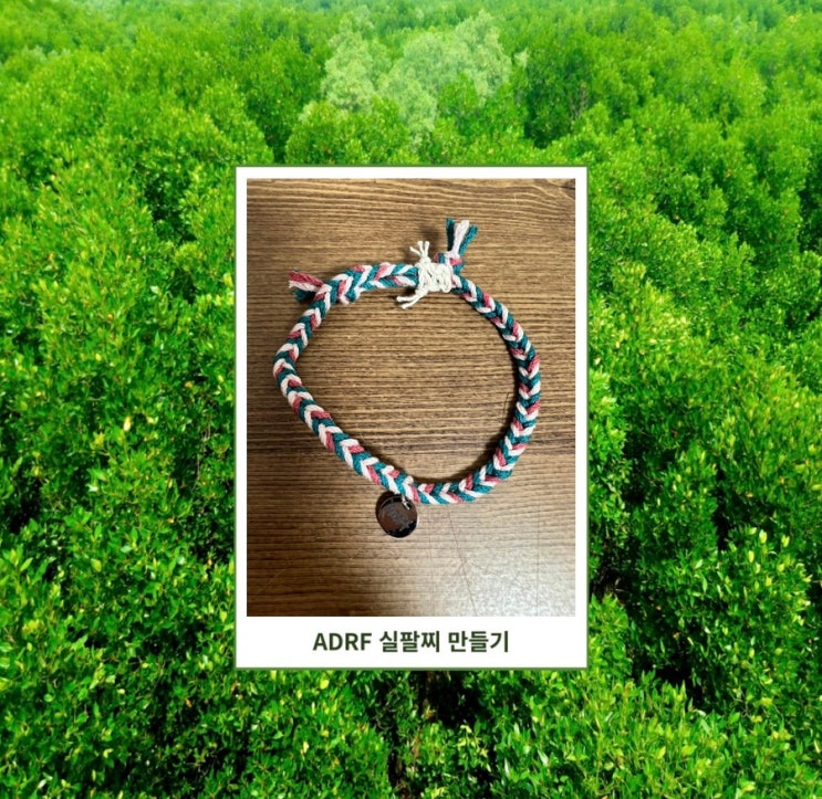 참여형 기부 캠페인_실팔찌 만들기 : 네이버 블로그