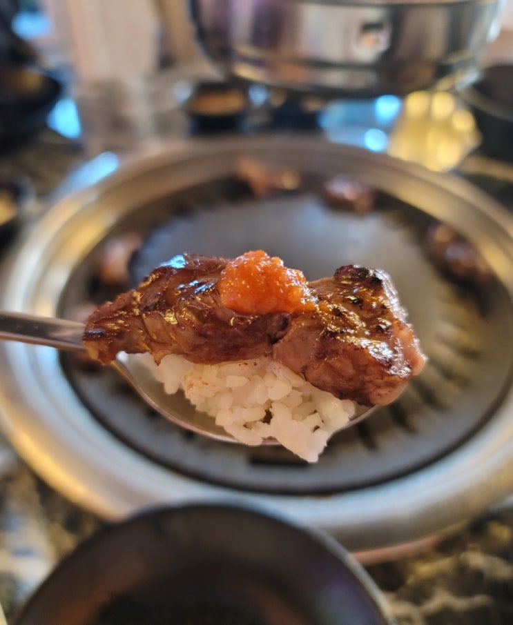 장한평역 회식의 달인 장안동점 질 좋은 소고기 무한리필 맛집 네이버 블로그