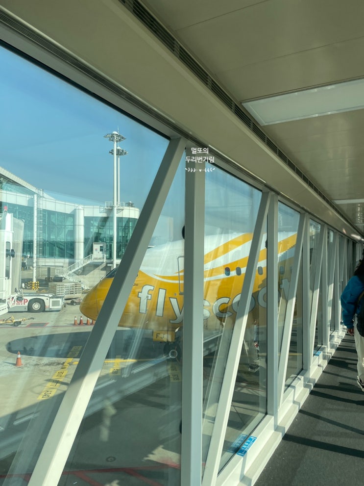 [싱가포르 여행 후기] 스쿠트항공 이코노미 왕복 탑승 후기(인천국제공항↔창이공항 / TR843, TR842) : 네이버 블로그