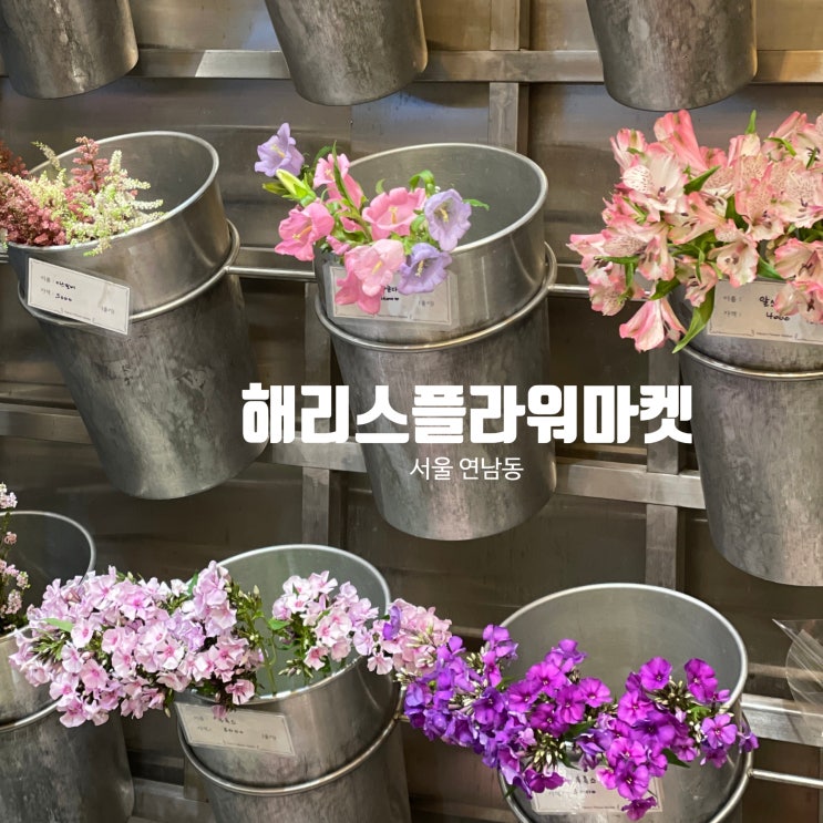 서울 연남동 꽃집 해리스플라워마켓 홍대 내가 고른 꽃으로 나만의 꽃다발 만들기 네이버 블로그