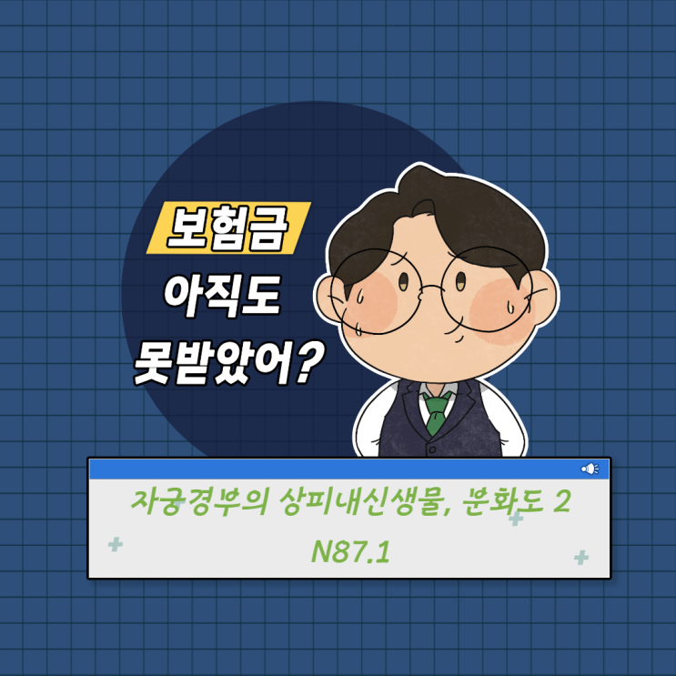 자궁경부의 상피내신생물 분화도2n871으로 제자리암 진단비 지급 받은 사례 네이버 블로그