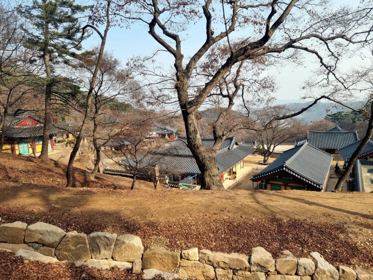 인천 강화도 당일치기 추천코스 템플스테이로 유명한 전등사 죽림다원 카페 진복호 아매네카페 방문 팁 네이버 블로그
