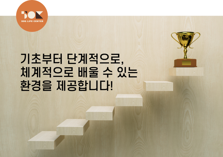 오십케이 50k 반려견 전문가 과정 커리큘럼 총정리 분석 반려견아카데미 애견훈련사 강아지유치원창업 프랜차이즈