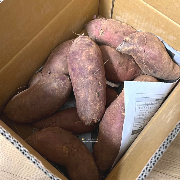 올팜 고구마 올팜 맞팜 친구 귤 사과 감자 양파 빨리 키우기 올팜 친구 수확 기간 후기 네이버 블로그