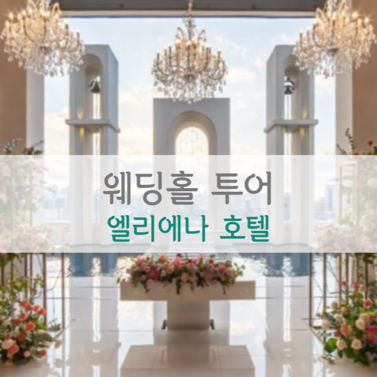 견적공유 24년 상반기 엘리에나 호텔 예식 식사 견적 네이버 블로그