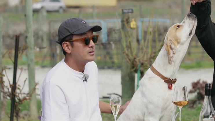 TVING 두발로 티켓팅 배우 하정우가 착용한 선글라스는? 퍼블릭비컨 버킨2(birkin2) 백(bag) 건대안경 아이즈앤코 퍼블릭비컨 공식거래처 : 네이버 블로그