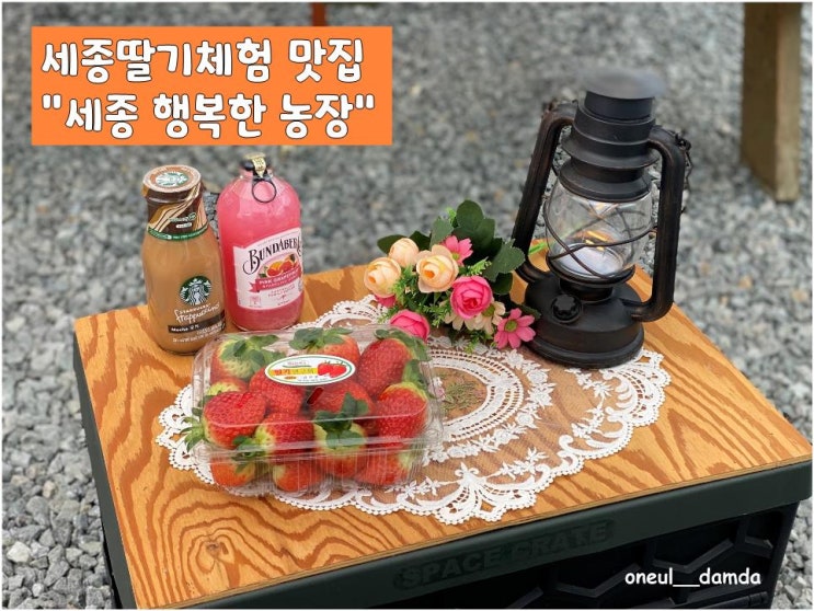세종 근교 나들이 아이와 가볼만한 딸기체험농장 행복한농장 세종딸기따기체험 네이버 블로그