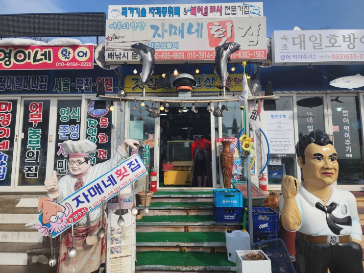 속초 롯데리조트 맛집 자매네횟집외옹치항 최고 횟집 속초 최고의 활어회센터 자매네 횟집 네이버 블로그