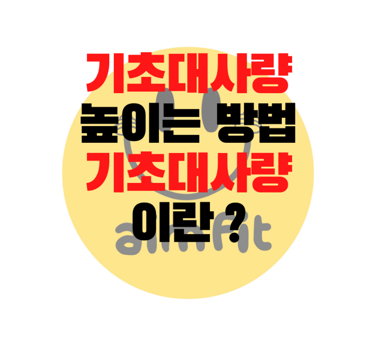 압구정 Pt 압구정 근처 헬스 기초대사량 이란 기초대사량 높이는 기본적인 4가지 방법 네이버 블로그