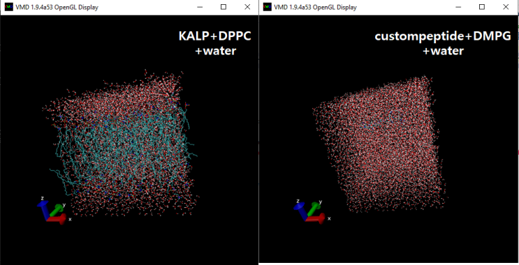 Gromacs, VMD, membrane-peptide, water-filled box : 네이버 블로그