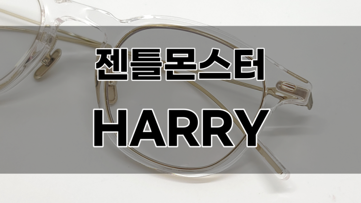 젠틀몬스터 해리 Harry 작고 이쁜 투명 안경 신도림 글라스헌터 네이버 블로그