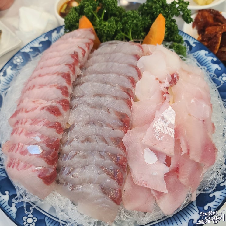 여수 희망선어 이순신 광장 근처 여수 선어회 전문점 네이버 블로그