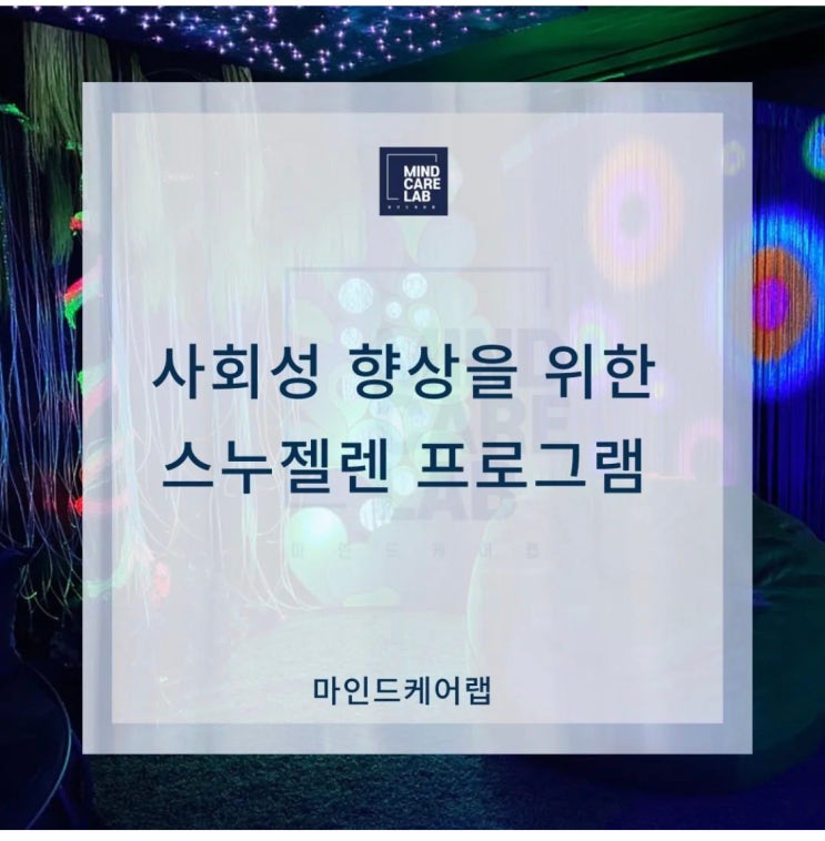 프로그램 개발 및 제공 사회성 향상을 위한 심리안정 스누젤렌 프로그램 사회성 치료 프로그램 네이버 블로그