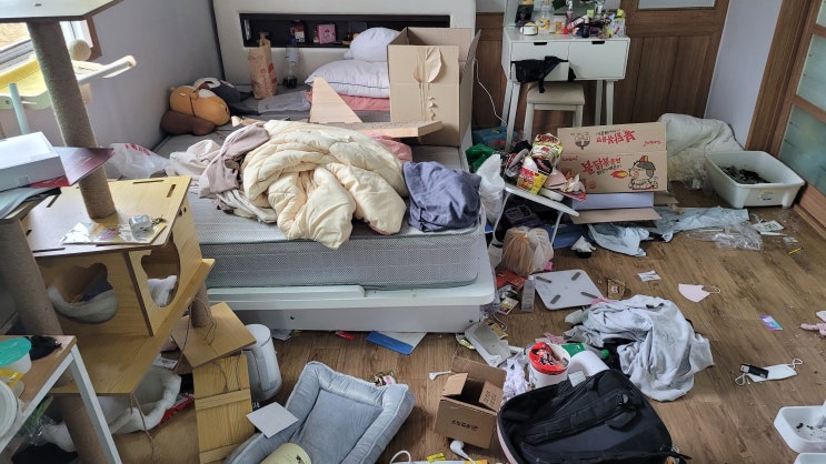 감삼동 입주청소전 폐기물정리 : 네이버 블로그