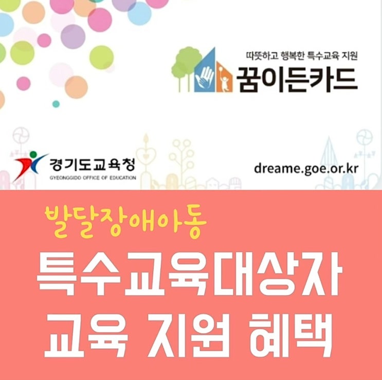 특수교육 지원 꿈이든카드바우처카드방과후 지원특수교육대상자 신청 방법 및 지원 혜택 네이버 블로그