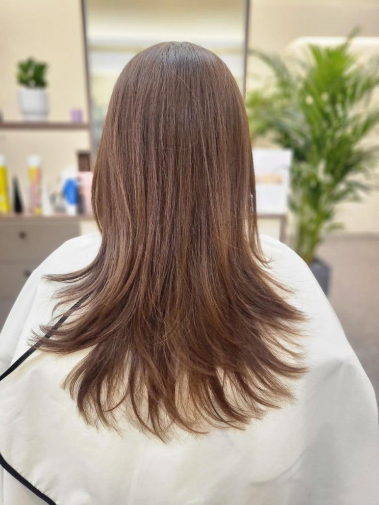 야탑 미용실 머리 잘 해주는 마중헤어살롱 다녀왔어요 : 네이버 블로그