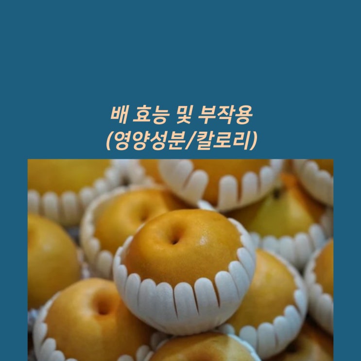 배 효능 및 배즙 부작용영양성분칼로리 네이버 블로그
