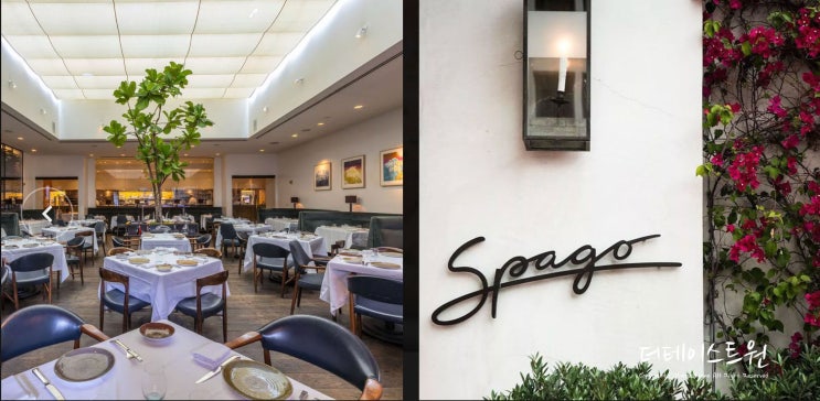 LA 베버리힐즈_스파고_SPAGO 레스토랑 : 네이버 블로그