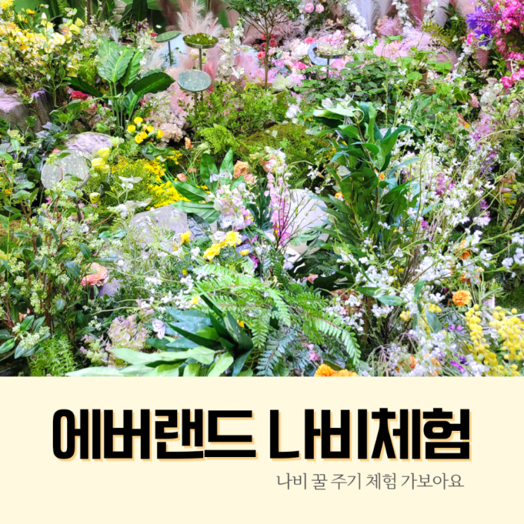 5살 아이와 23년 겨울 에버랜드 나비체험관 다녀왔어요feat 눈치게임 성공 네이버 블로그