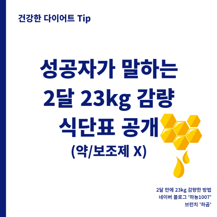 2달 다이어트 식단 감량 성공 Tip 꿀팁 전자책 펀딩 네이버 블로그