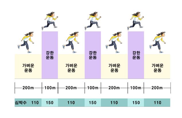 관산동 헬스관산동 헬스장제이짐휘트니스 체지방 제거에는 인터벌트레이닝이 최고 네이버 블로그