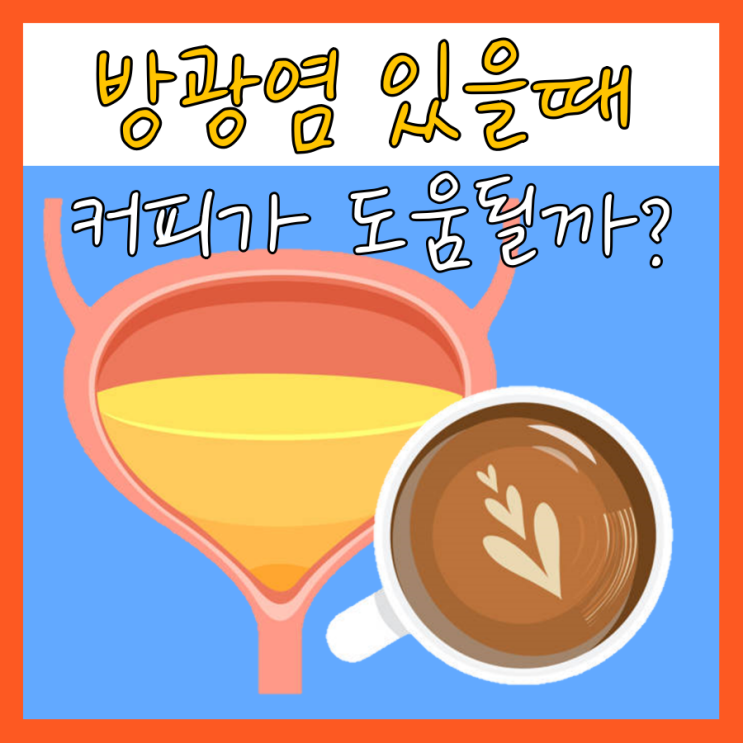 방광염 커피 급성방광염 원인 치료에 도움될까 네이버 블로그