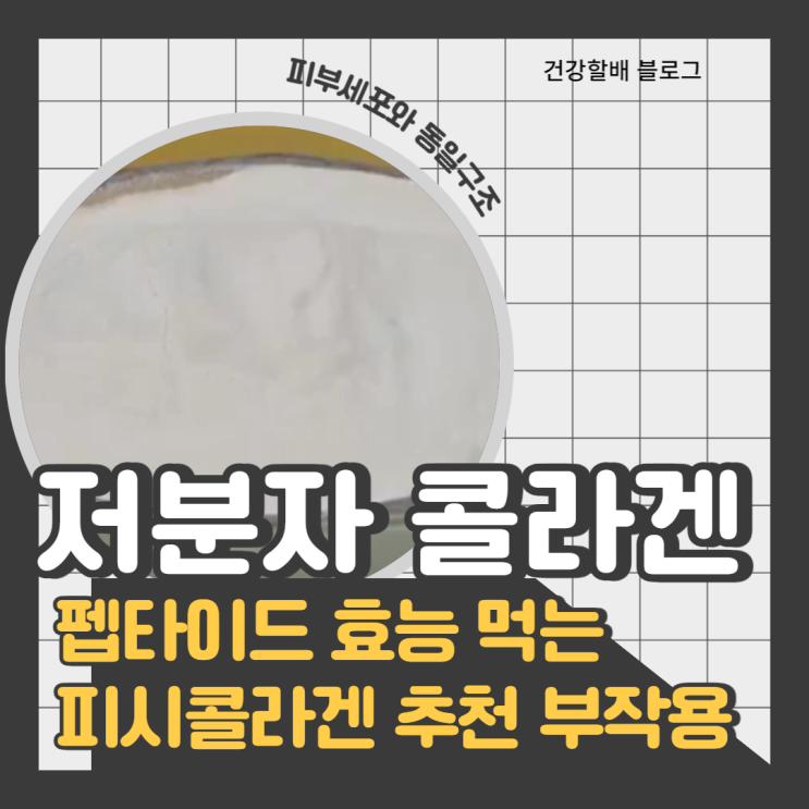 저분자 콜라겐 펩타이드 효능 먹는 피쉬 콜라겐 추천 부작용 네이버 블로그