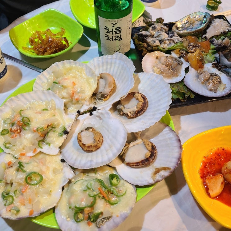 속초 동명항 영금정 앞 당근마차 안주가 찐 네이버 블로그