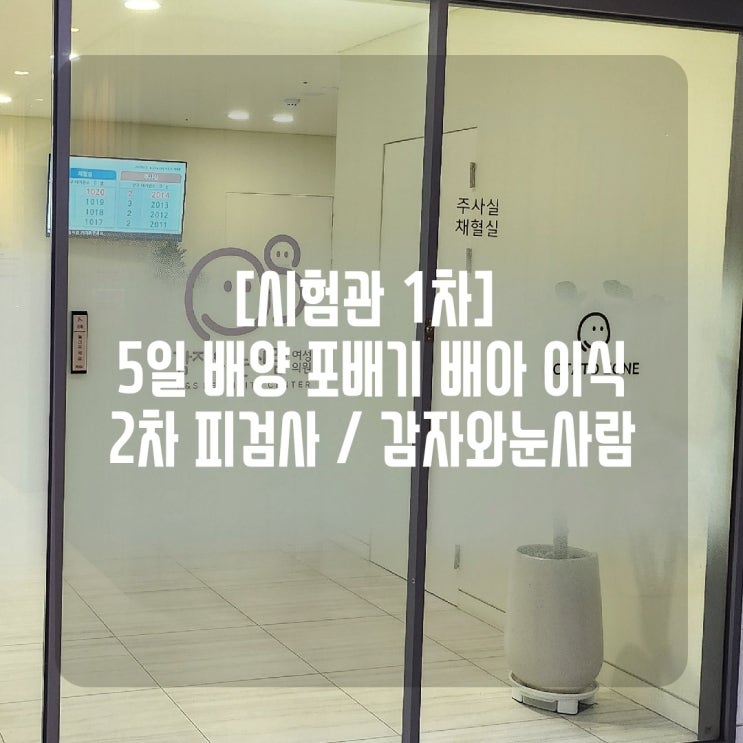 시험관 1차 5일 배양 2차 피검사 결과 감자와눈사람 일곱 번째 진료 감눈 5일 배양 12일차 네이버 블로그