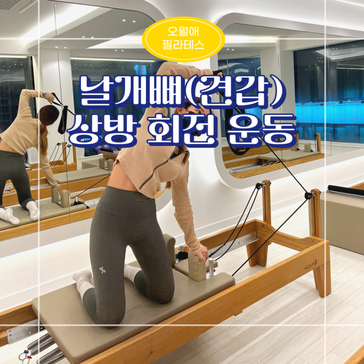 날개뼈견갑 상방 회전 운동 부산대필라테스부산대기구필라테스장전동필라테스장전동기구필라테스부곡동필라테스부곡동기구필라테스