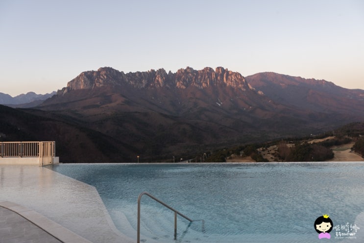 델피노 소노펠리체 대명리조트 회원권 강원도 리조트 숙소 : 네이버 블로그