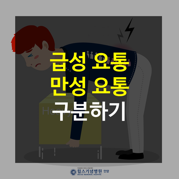 안양척추전문병원 급성 요통과 만성 요통 어떻게 구분할까│안양윌스기념병원 네이버 블로그