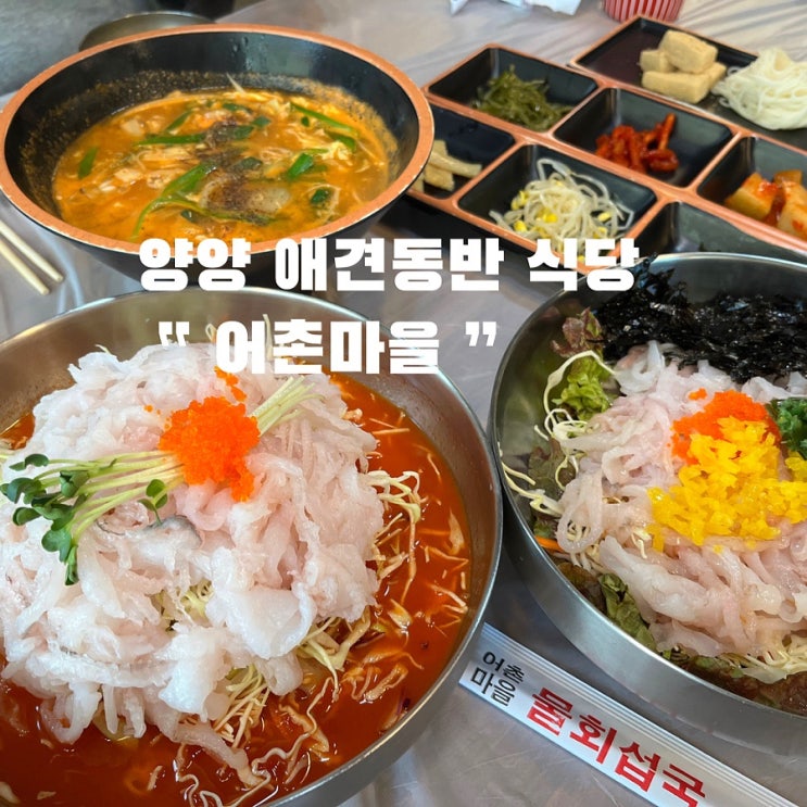 양양 애견동반식당 어촌마을 Ft물회 회덮밥 맛집 네이버 블로그