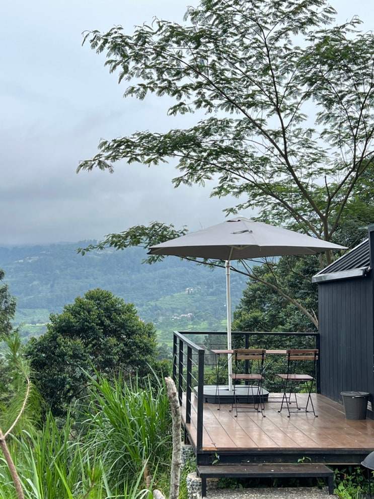 자카르타에서 숲 속 오두막집 갬성 찾기, Bobo cabin in Gunung Mas (+보고르 따만사파리 1박2일) : 네이버 블로그