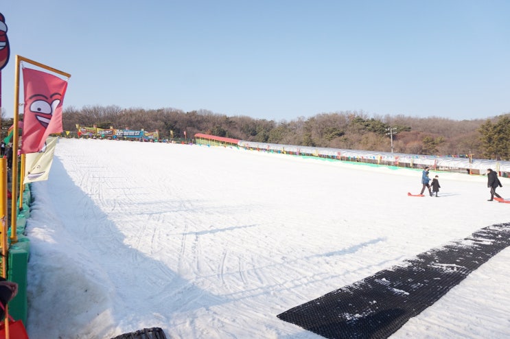 평일 아이와 가볼만한곳 서울랜드 눈썰매장 할인 네이버 블로그