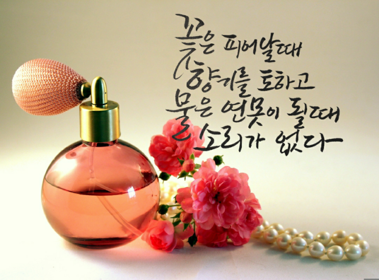 꽃은 피어날 때 향기를 토하고 물은 연못이 될 때 소리가 없다 좋은글이미지 좋은글귀 명언 네이버 블로그