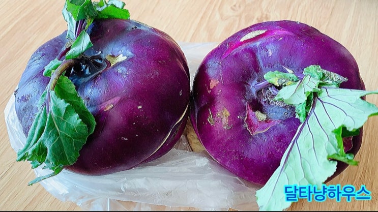 콜라비 칼로리 콜라비 1개 칼로리 콜라비 다이어트 콜라비요리 장기보관가능한 콜라비 보관 법 콜라비 효능 네이버 블로그