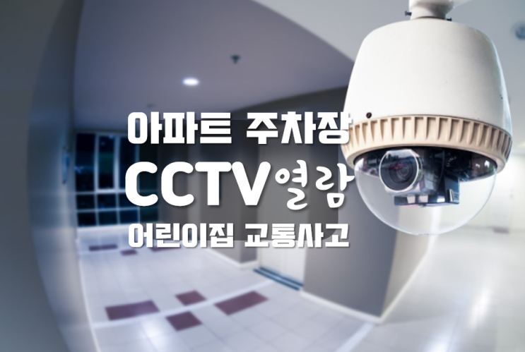 CCTV 열람 경찰 없이 보는 방법 관리카메라 개인정보보호 모자이크 처리방법 개인정보보호법 열람제공 근거 의무 과태료 : 네이버 블로그
