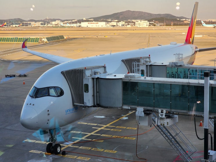 아시아나항공 A350-900 인천~하노이 왕복 탑승기 : 네이버 블로그