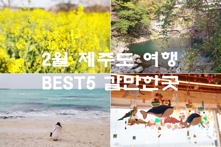 2월 제주도 가볼만한곳 제주 휴애리 매화축제 유채꽃 2월 제주도 여행 선물 추천 네이버 블로그