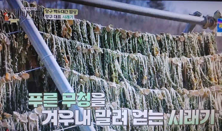 식객 허영만의 백반기행 강원도 양구 시래기소불고기 식당 위치 푸짐한 시래기 한상 네이버 블로그