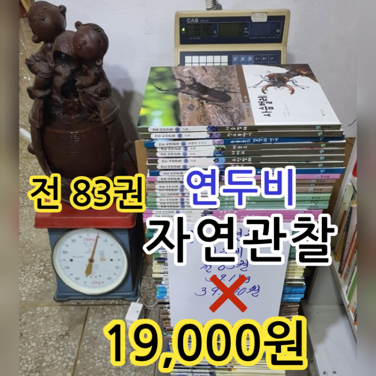 연두비 연두 자연관찰 전집 83권 세트 19000원 서울 양천구 신월 7동 무게로 헌책방 중고서점에서 아동 어린이 아동도서