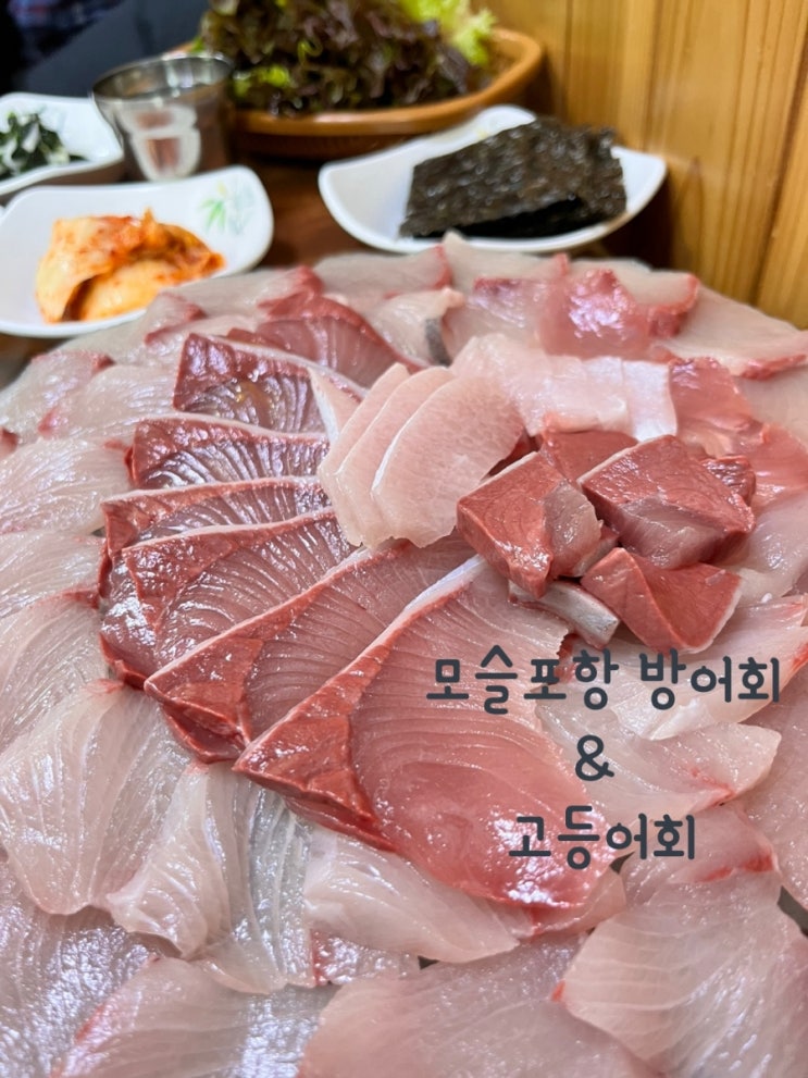 제주 서귀포1일차 모슬포항 미영이네 말고 웨이팅 없는집방어회고등어회 맛집 네이버 블로그