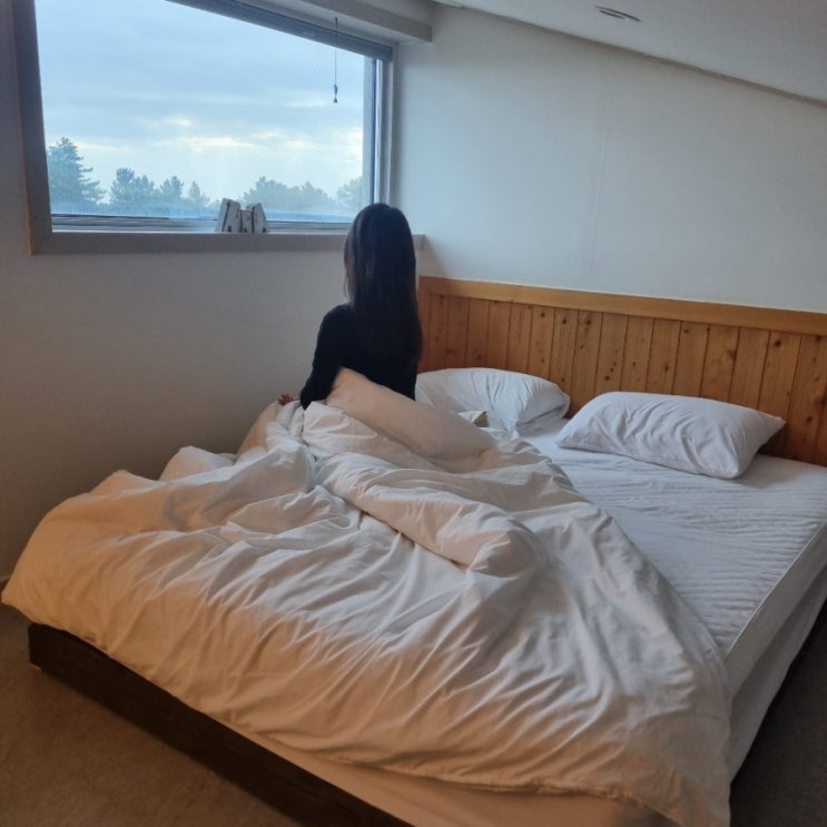 제주 동쪽 숙소 성산일출봉 일출뷰 조식제공 커플펜션 아비앙또 네이버 블로그