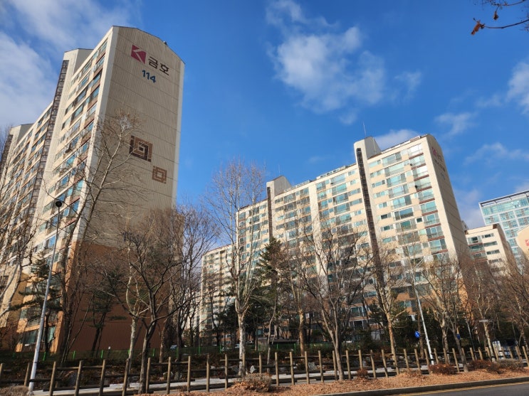 임장 후기 분당 서현 시범 통합재건축 단지 And 수내 양지마을 And 정자 파크뷰 네이버 블로그