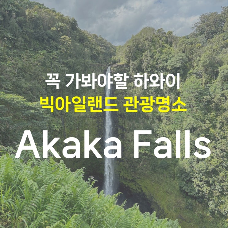 하와이ㅣ빅아일랜드 아카카 폭포 주립공원 온몸으로 대자연을 느낄수 있는 곳 솔직후기 요금할인 네이버 블로그