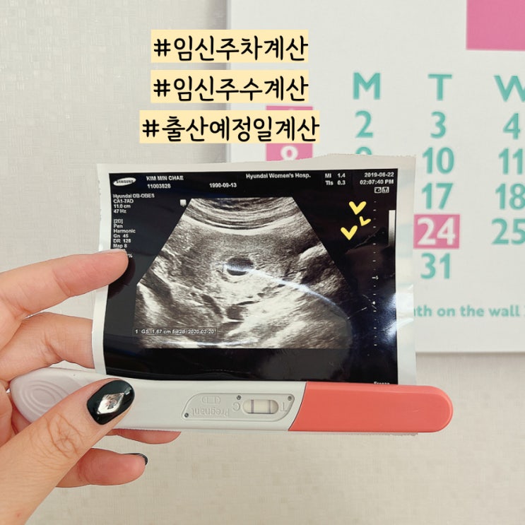 임신기간 임신 주차 계산 분만예정일 출산 예정일 계산기 네이버 블로그