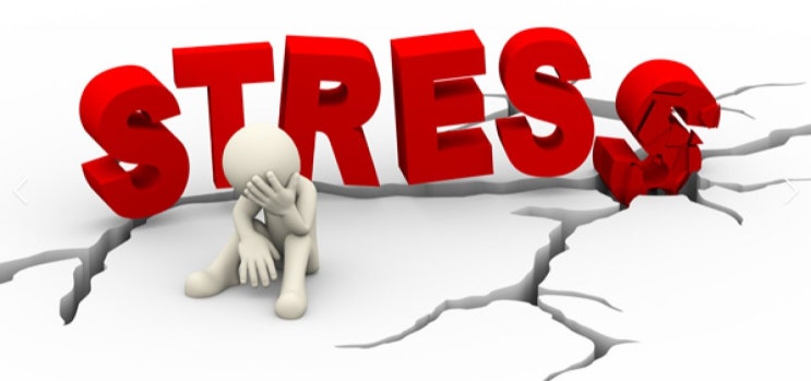 스트레스성 수면장애에 대한 한약치료의 효과 : 네이버 블로그