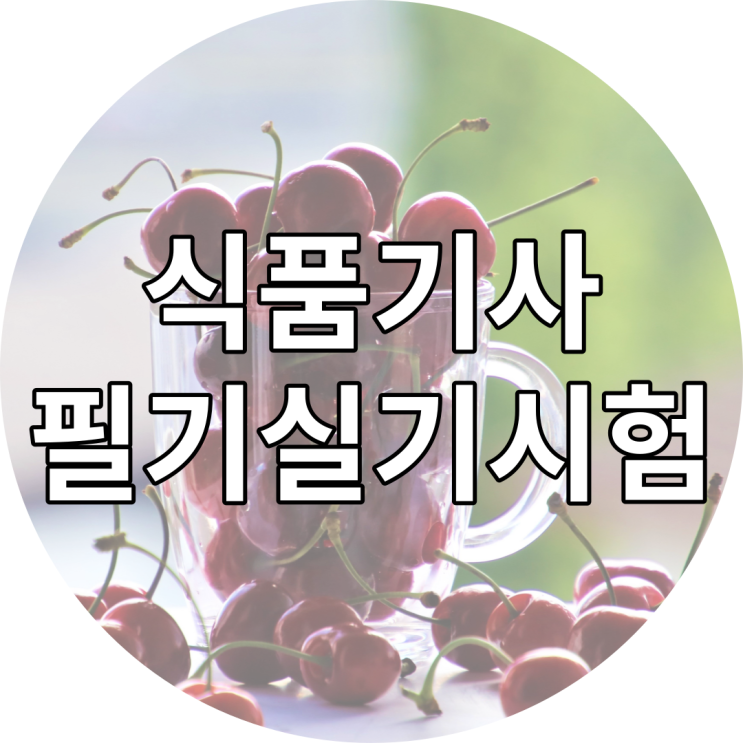 식품기사 필기와 실기시험 보기 위한 응시자격 만들기 네이버 블로그