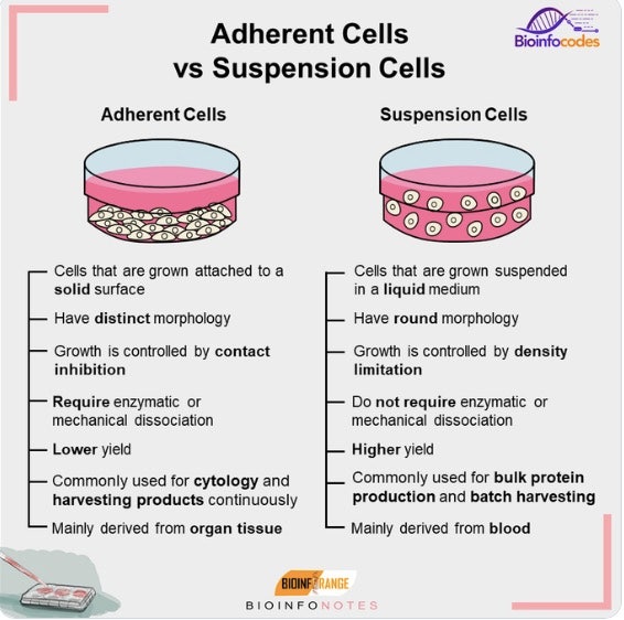 Adherent cell VS Suspension cell : 네이버 블로그